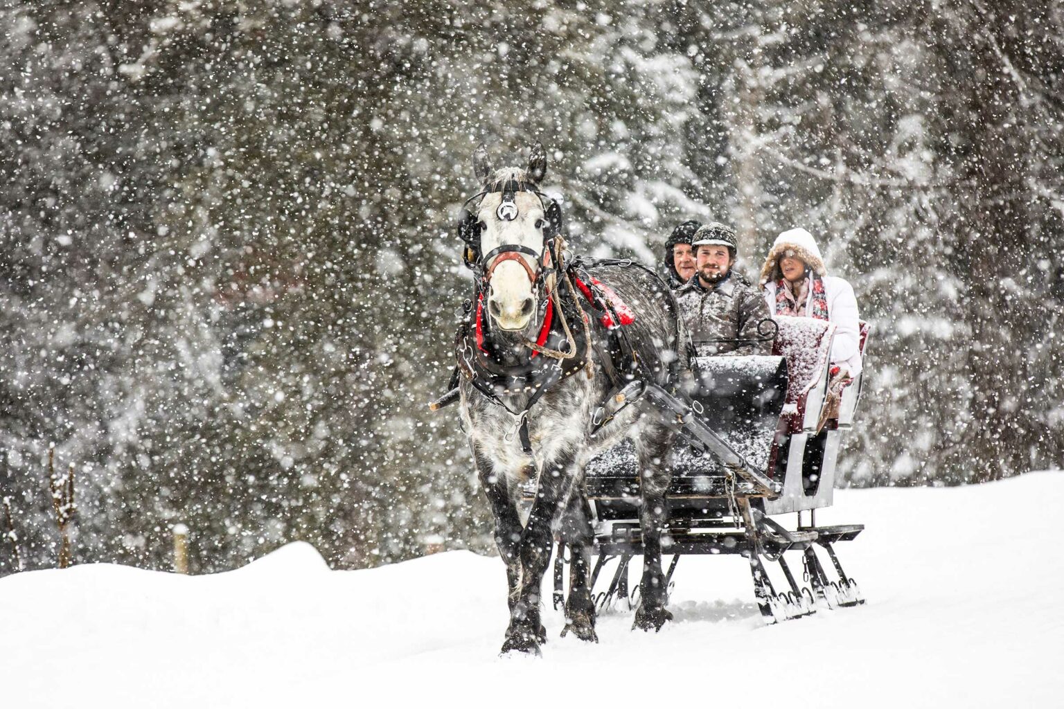 Play - Visit Sandpoint